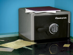 Security - Fortune Brands Innovations